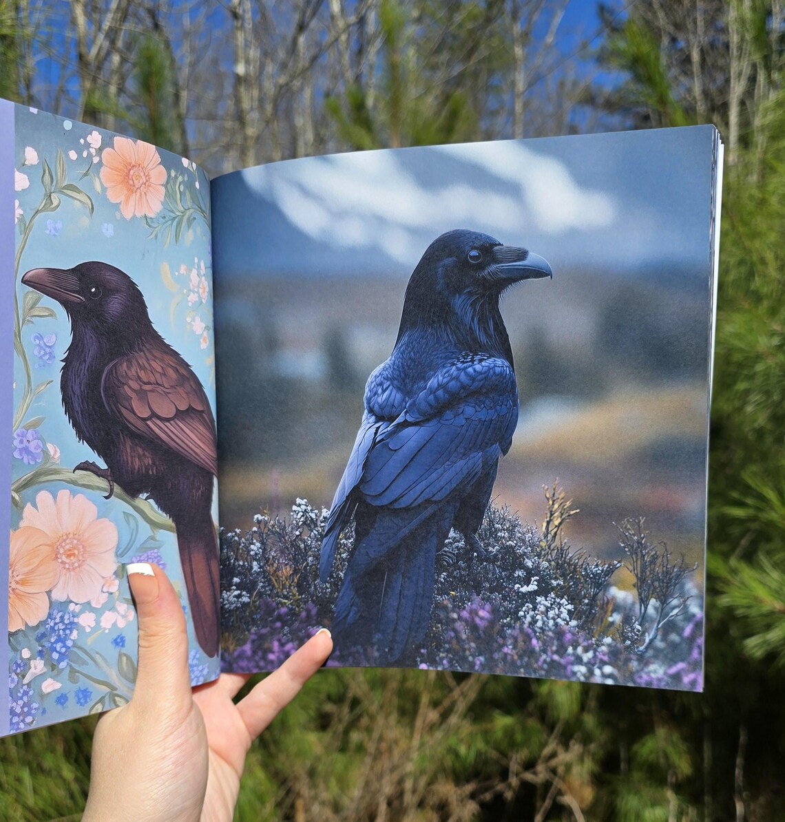 Little Raven | Wildlife in Bloom Series Picture Book Children Magical ...