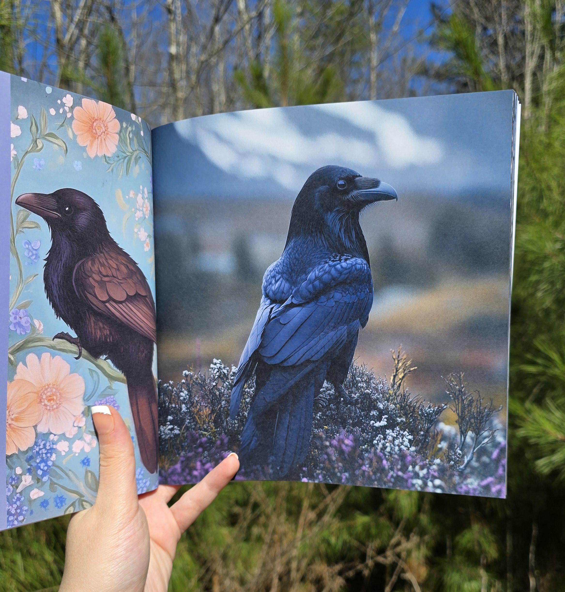 Little Raven | Wildlife in Bloom Series Picture Book Children Magical ...