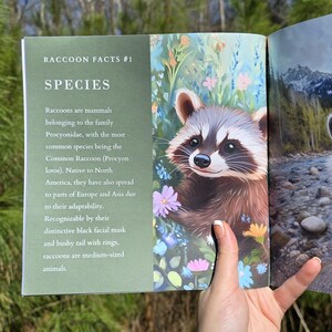 Little Raccoon | Wildlife in Bloom Series Picture Book Children Magical ...