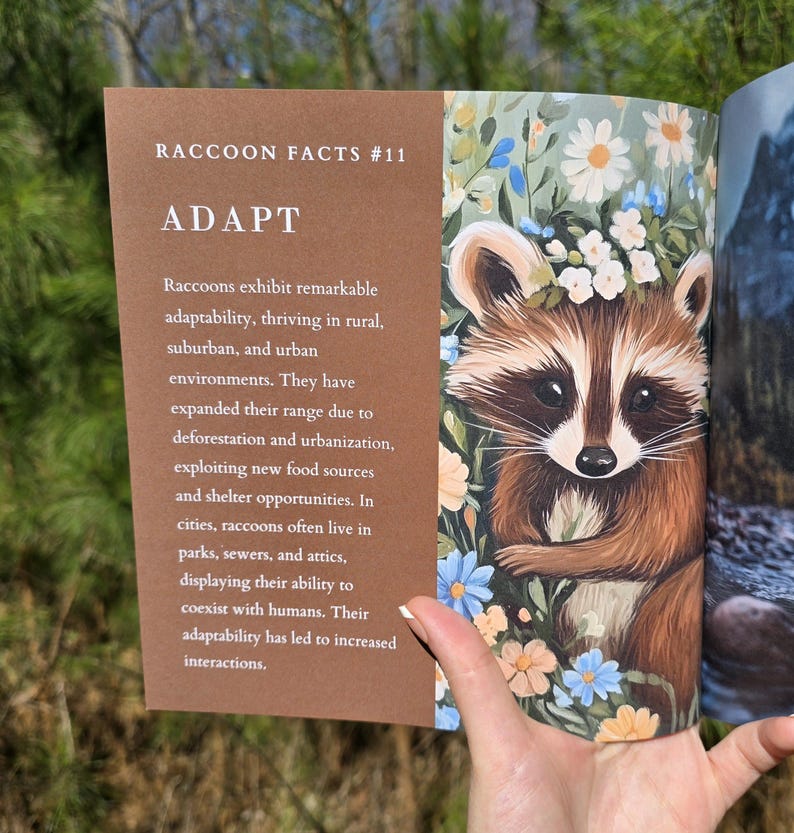 Little Raccoon | Wildlife in Bloom Series Picture Book Children Magical ...