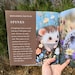 Little Hedgehog | Wildlife in Bloom Series Picture Book Children ...
