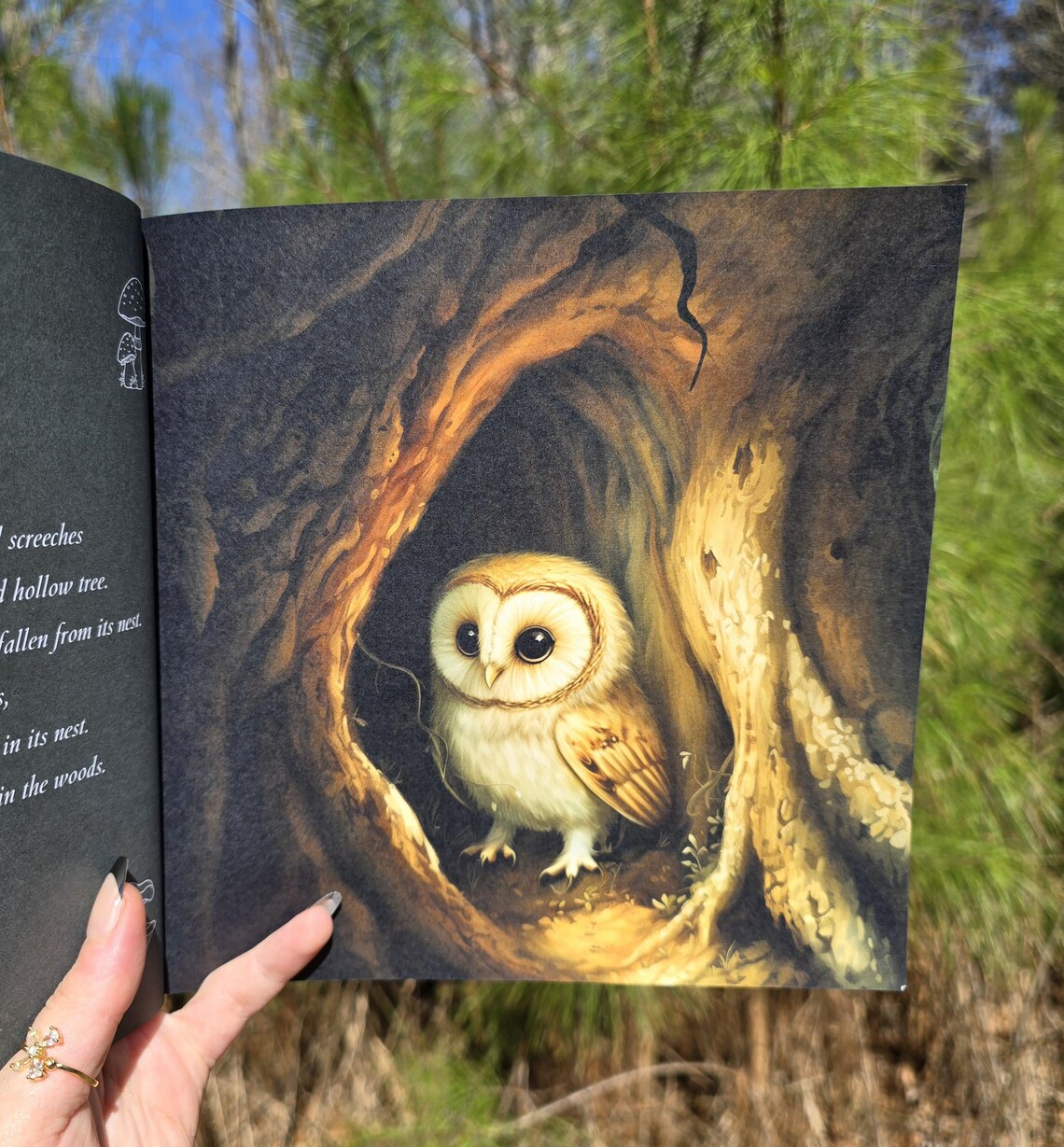 The Little Green Witch | Children's Picture Book Witchy Magical ...