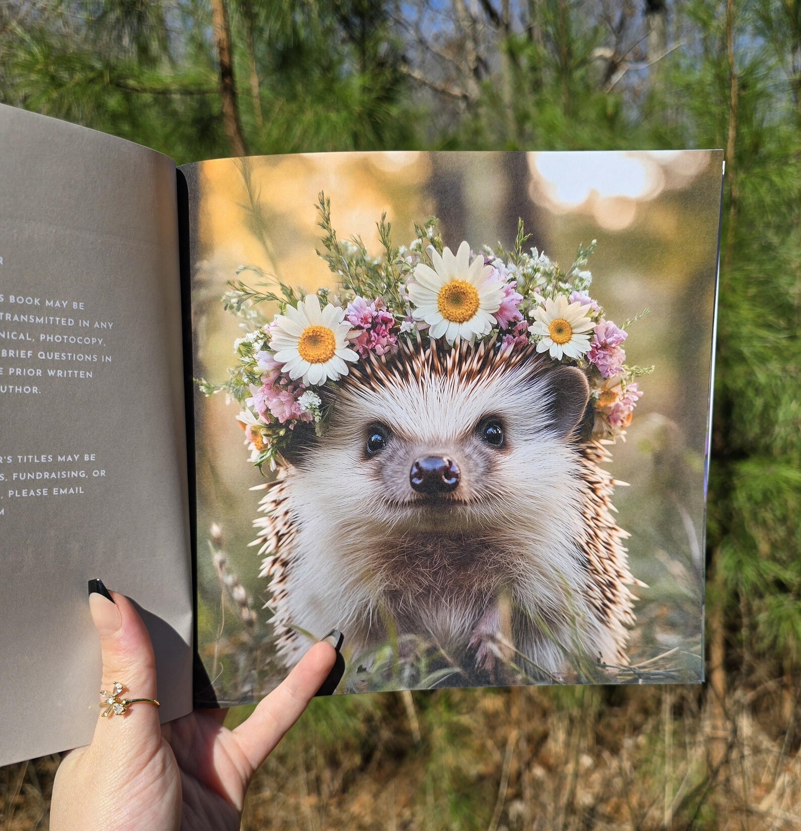 Little Hedgehog | Wildlife in Bloom Series Picture Book Children ...