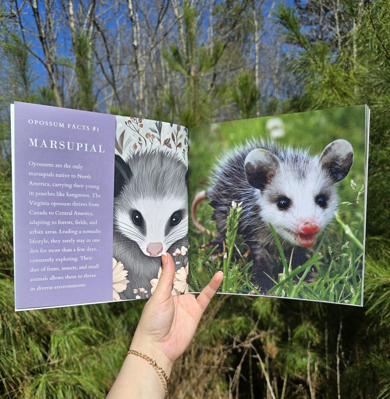 Little Opossum | Wildlife in Bloom Series Picture Book Children Magical ...