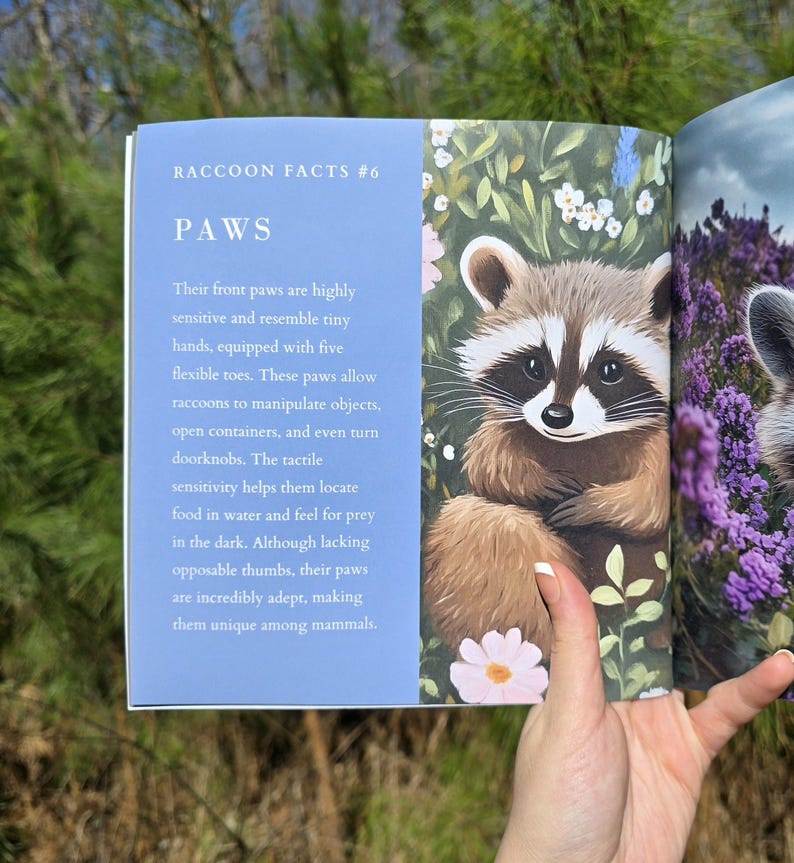 Little Raccoon | Wildlife in Bloom Series Picture Book Children Magical ...