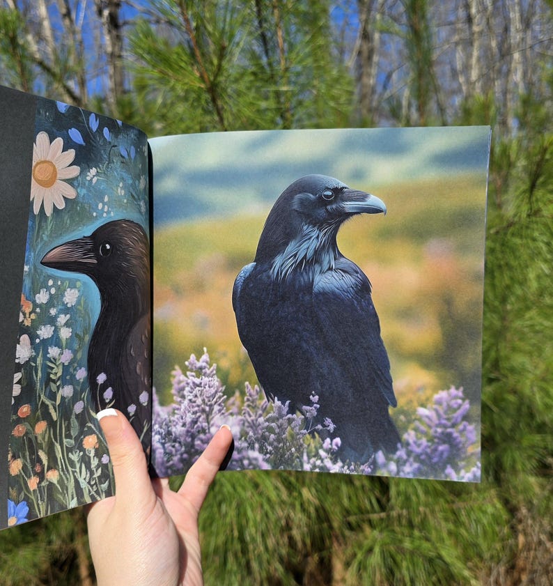 Little Raven | Wildlife in Bloom Series Picture Book Children Magical ...