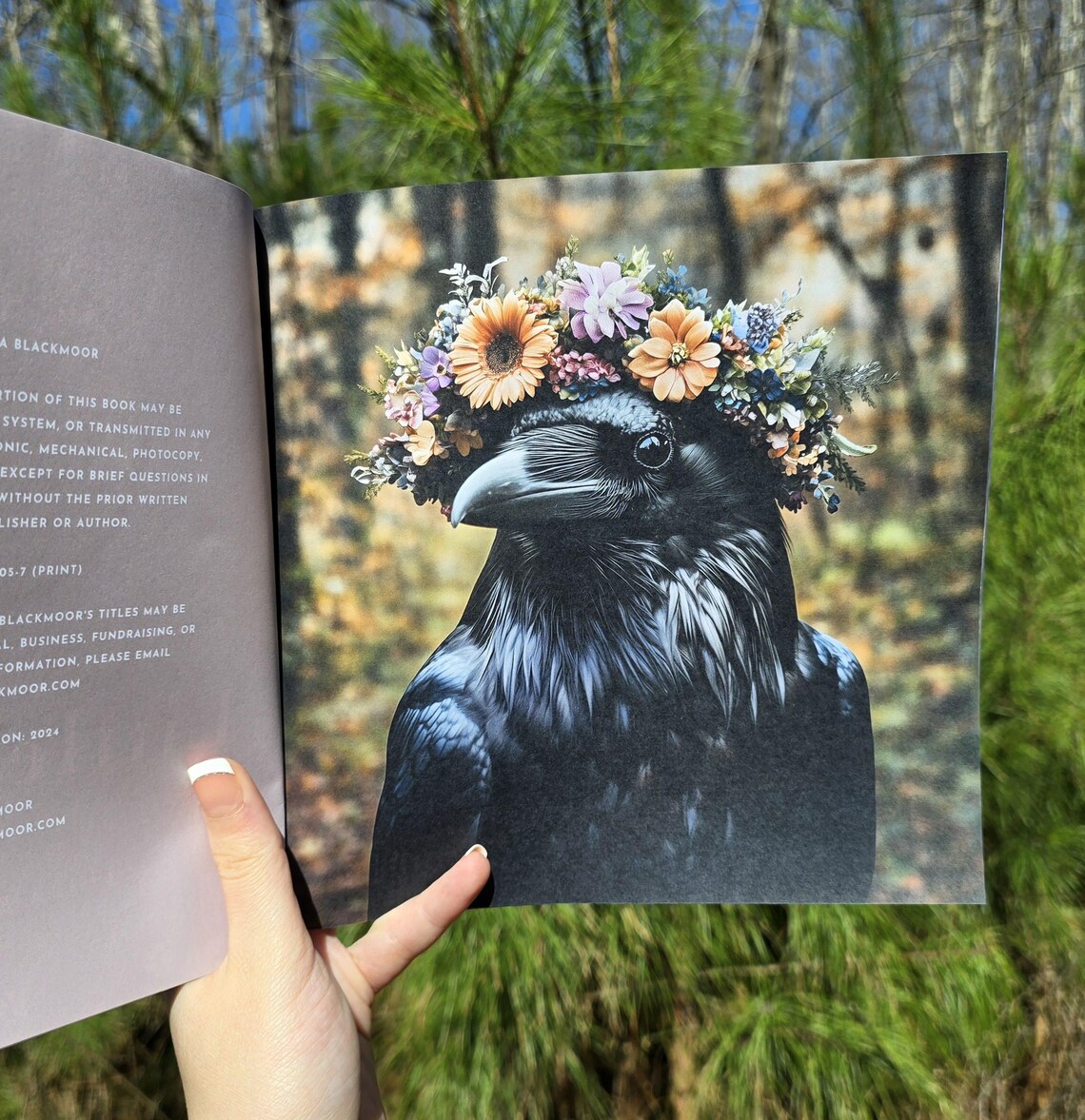 Little Raven | Wildlife in Bloom Series Picture Book Children Magical ...