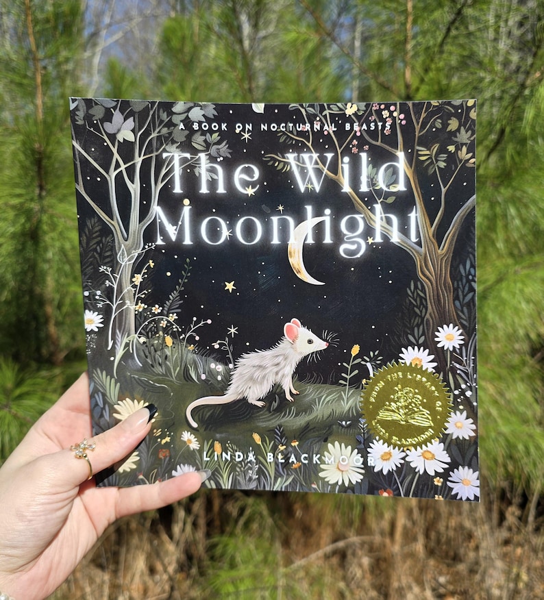 The Wild Moonlight | Picture Book Children Magical Whimsical ...