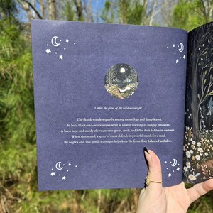 The Wild Moonlight | Picture Book Children Magical Whimsical ...