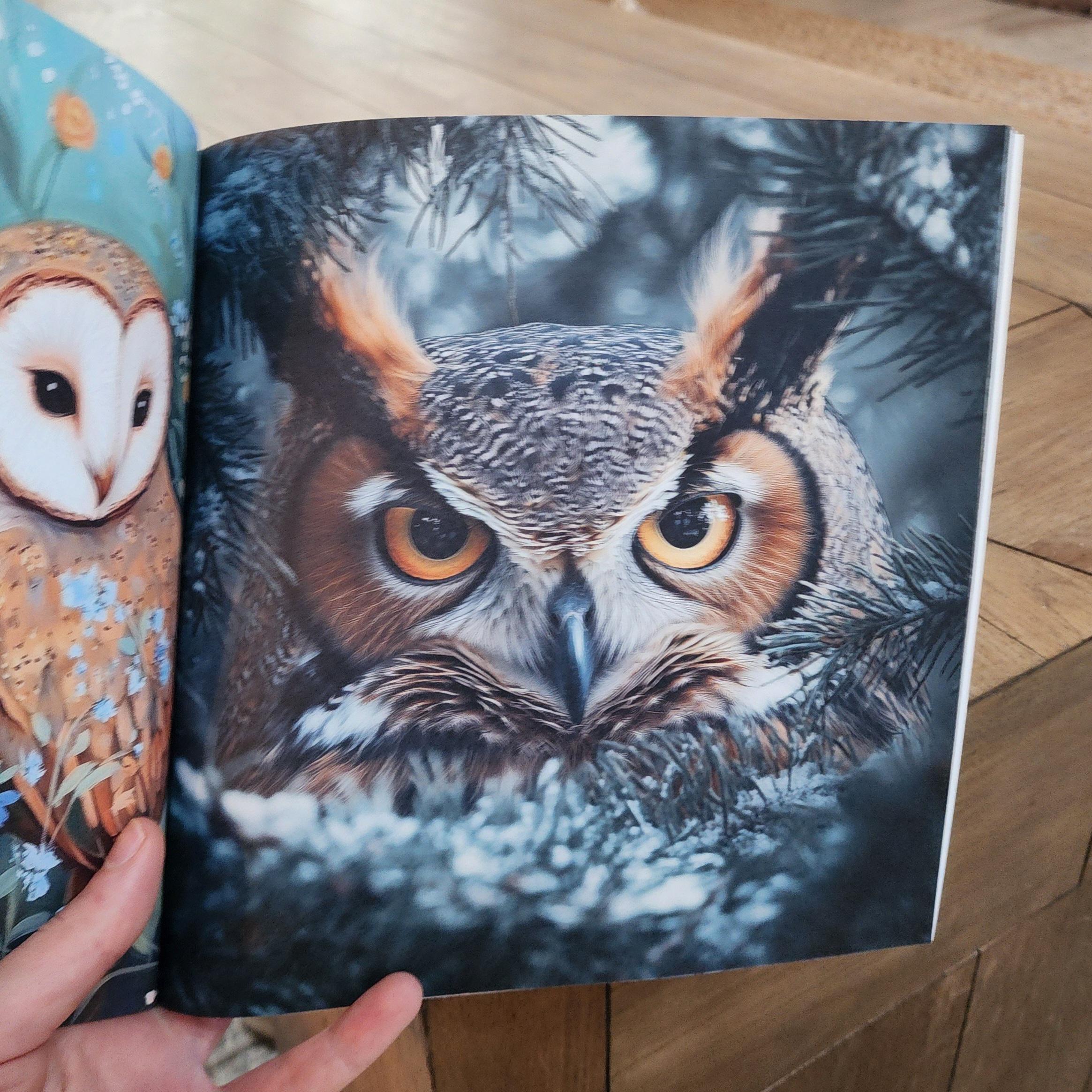 Little Owl | Wildlife in Bloom Series Picture Book Children Magical ...