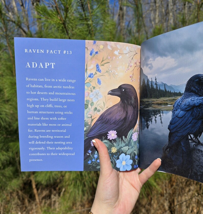 Little Raven | Wildlife in Bloom Series Picture Book Children Magical Whimsical Educational Best ...