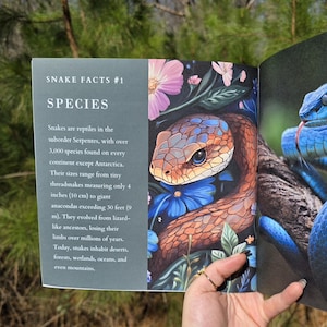 Little Snake | Wildlife in Bloom Series Picture Book Children Magical ...