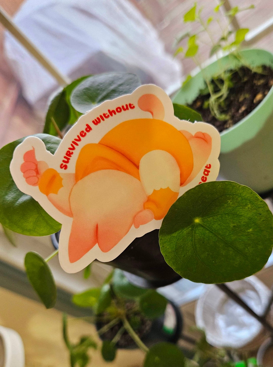 Survived Sticker - Laminated and Adorable Die Cut for Water Bottle or ...