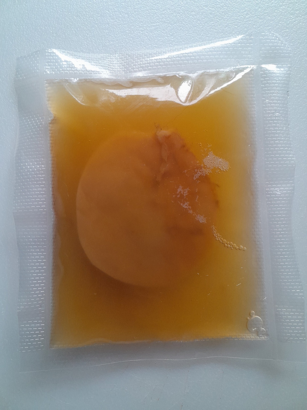 Kombucha SCOBY Pellicle With Starter Tea, Organic and Home-grown ...