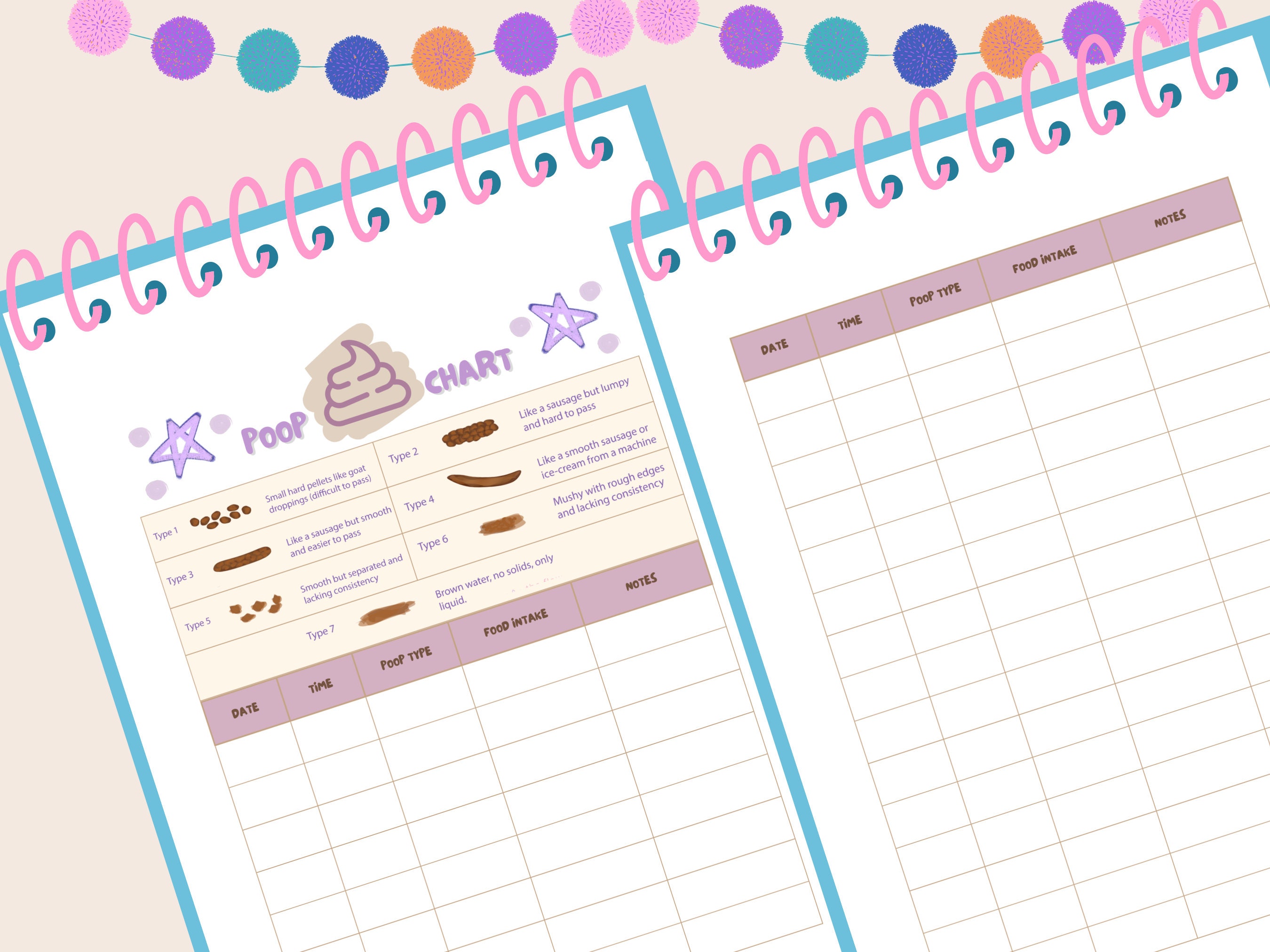 Potty Chart Potty Diary Potty Journal Constipation Poop Chart ...