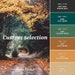 Custom Yarn Selection - Etsy