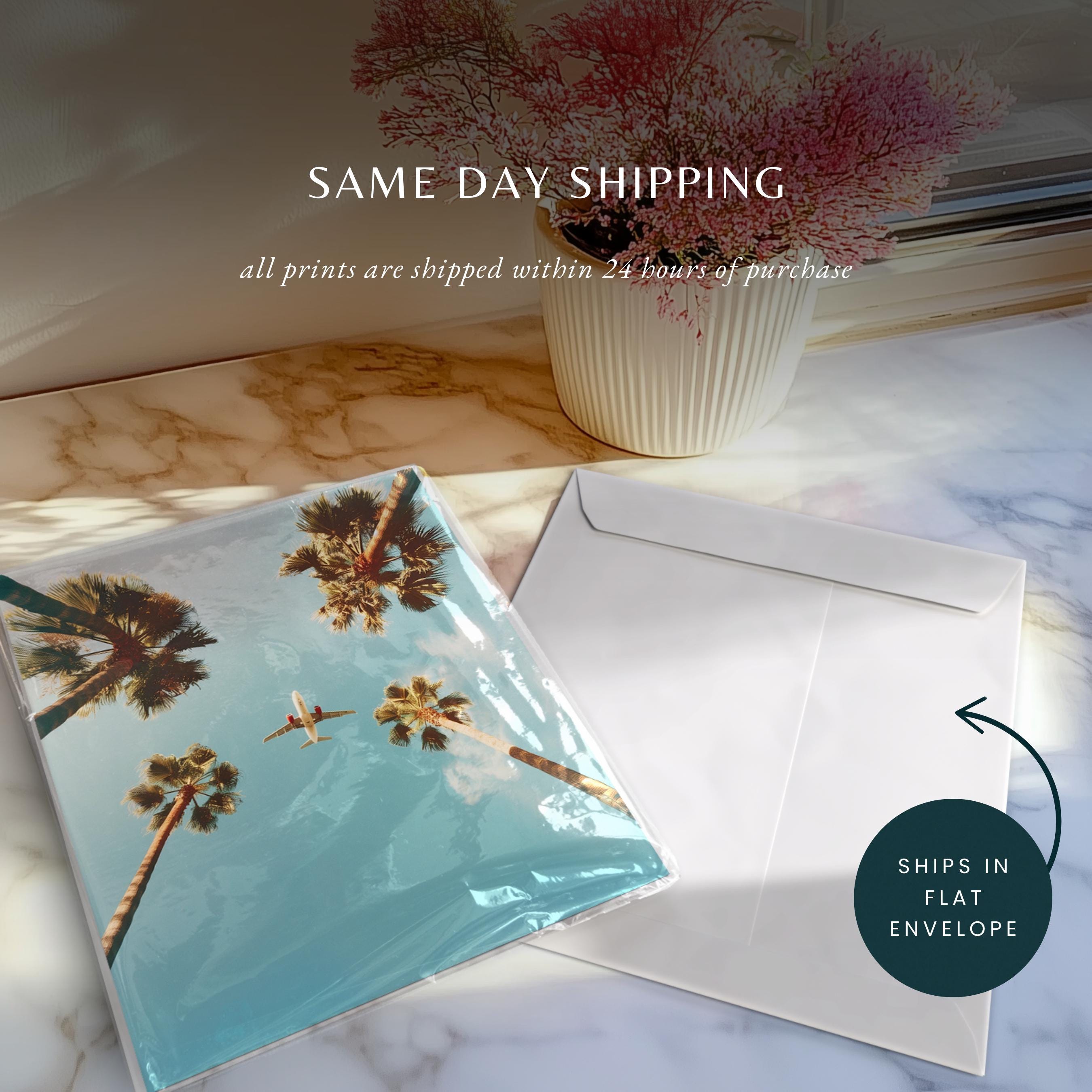 Airplane Flyover Palm Trees Art Print, Retro Plane California Travel ...