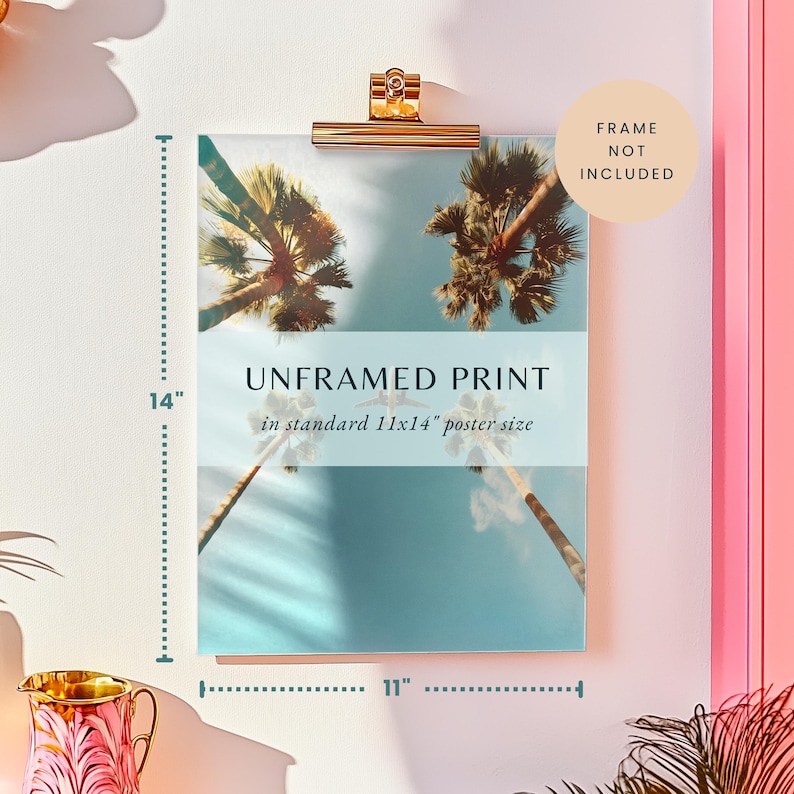 Airplane Flyover Palm Trees Art Print, Retro Plane California Travel ...