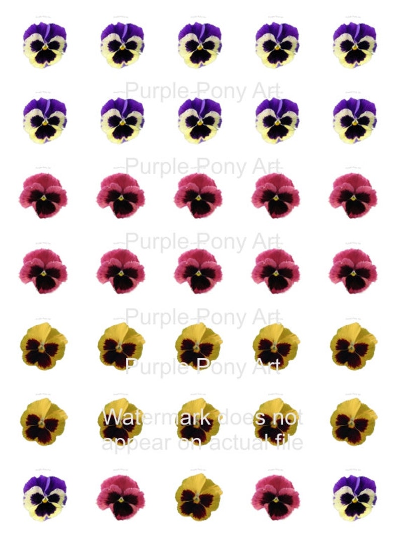 Printable Pansy Stickers Floral Instant Download DIY - Etsy