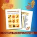 Fall Festivities & Thanksgiving Fun Engaging Activity Booklet for Kids ...
