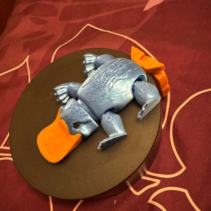 3D Printed Articulated Platypus - Etsy