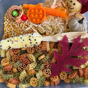 Fall Sensory | Play Kit | Montessori Play Kit | Sensory Kit Filler ...