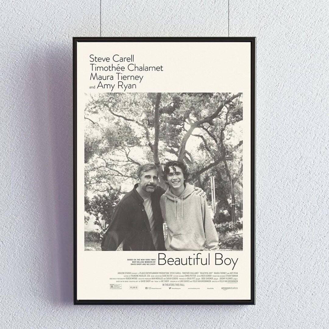Beautiful Boy Movie Poster, 2024 High Quality Canvas Wall Art, Room ...