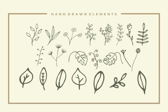 Botanical Font, Display Font, Script Font, Wedding Font, Modern Font ...