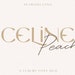Celine Peach Font, Elegant Font, Calligraphy Font, Modern Font ...