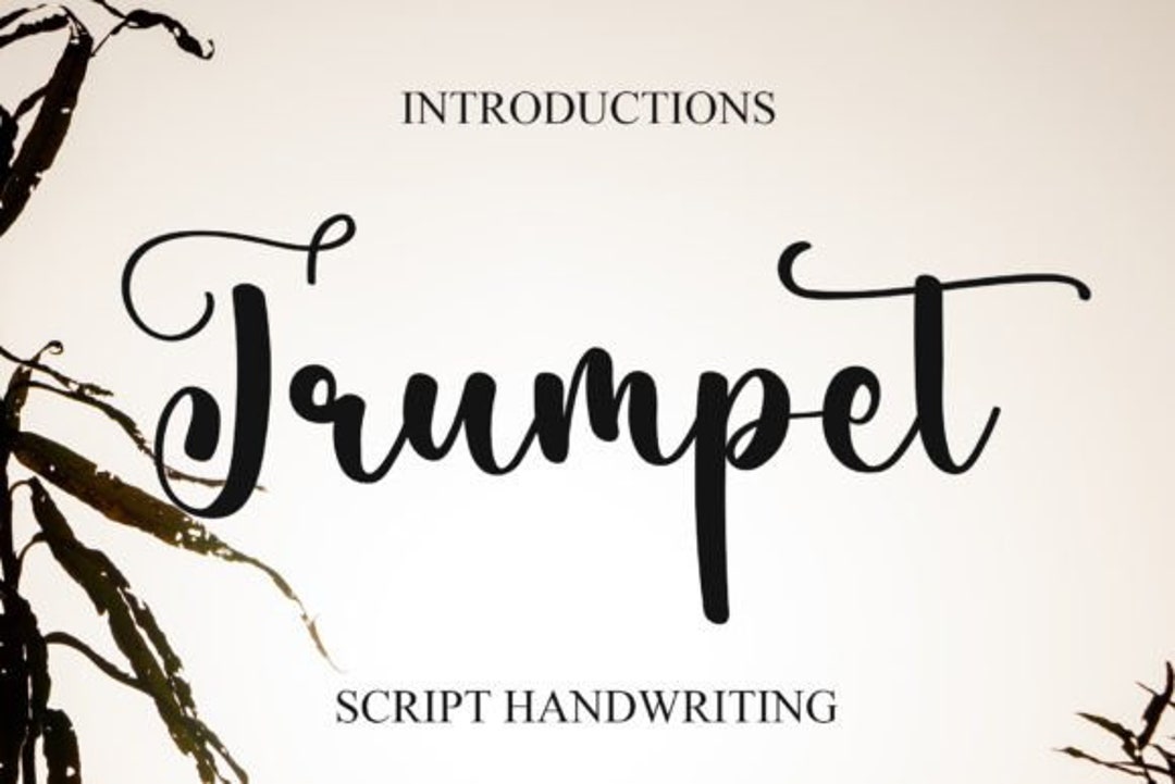 Trumpet Font, Display Font, Script Font, Wedding Font, Modern Font ...