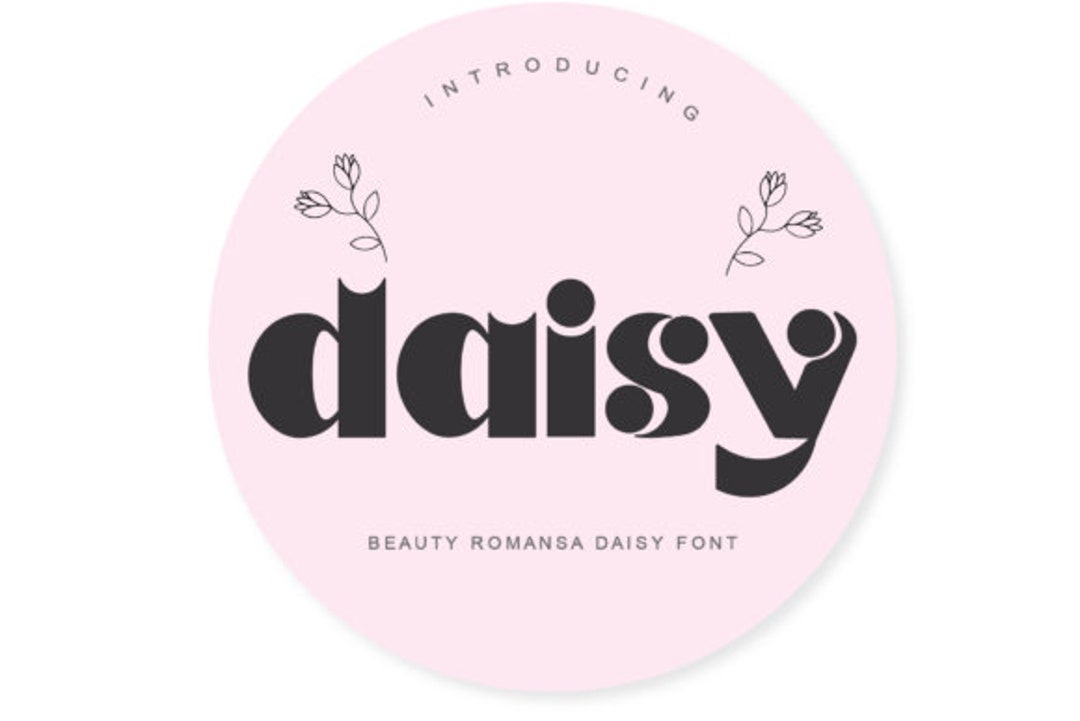 Daisy Font, Script Beautiful Font, Vintage Cheap Font, Retro ...