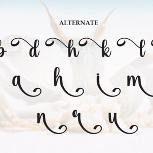 Beach Crab Font, Handwritten Font, Beautiful Font, Script Font, Vintage ...