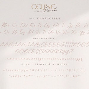 Celine Peach Font, Elegant Font, Calligraphy Font, Modern Font ...