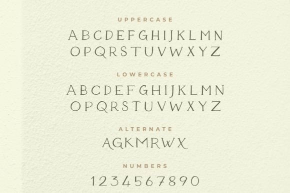 Botanical Font, Display Font, Script Font, Wedding Font, Modern Font ...