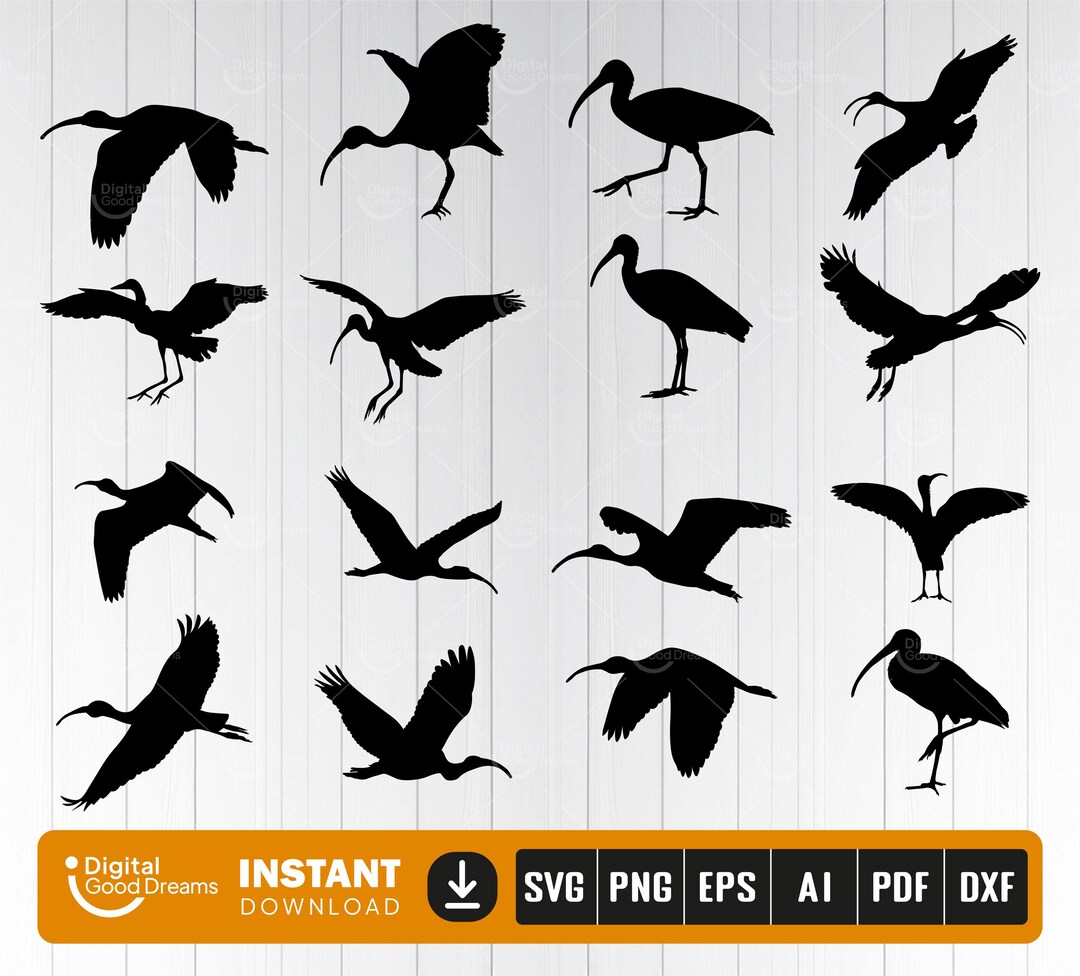 Ibis Bird Silhouette SVG, Clipart, PNG, Eps, DXF , Silhouette Cut File ...