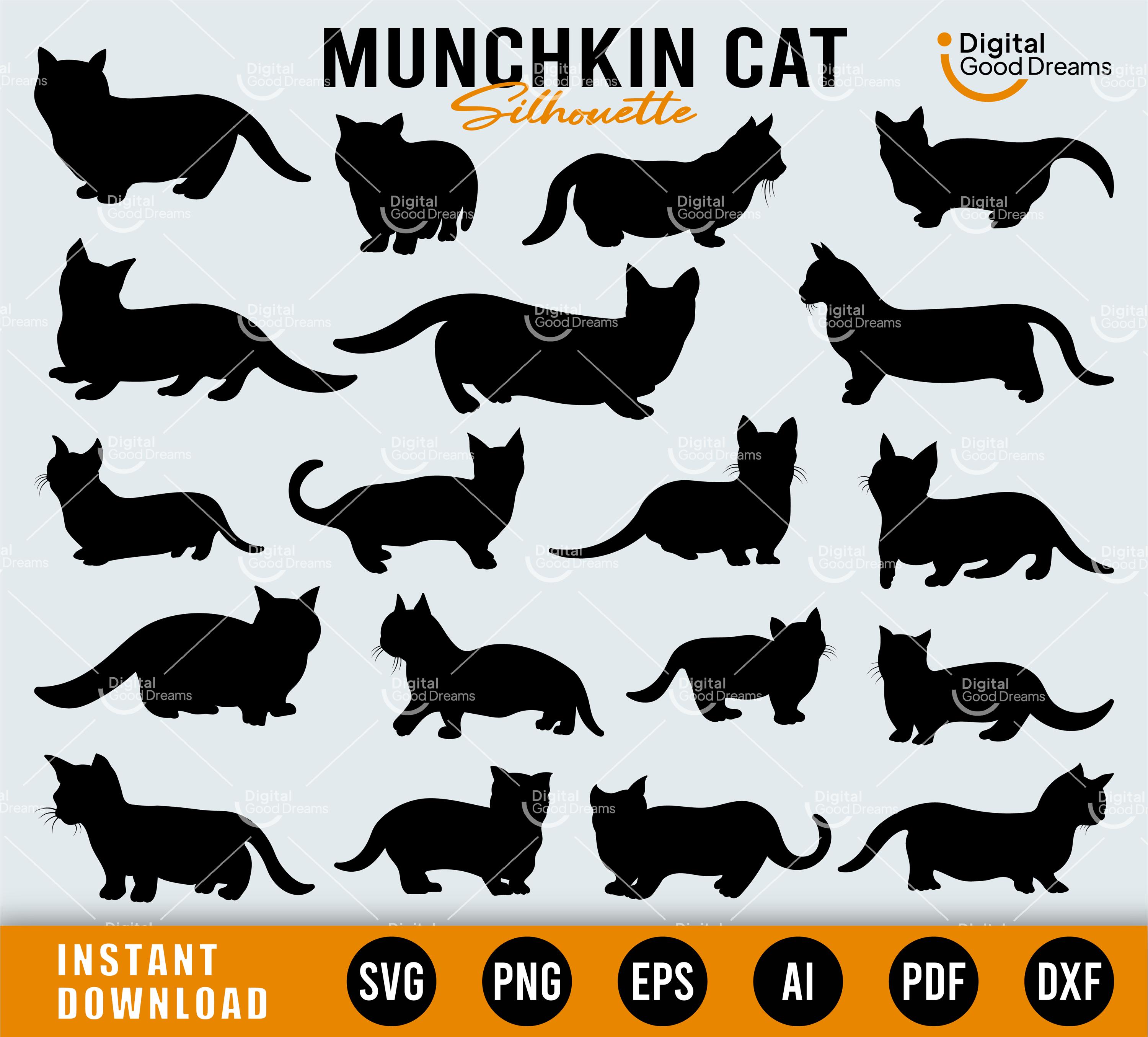 Munchkin Cat Silhouettes Svg, Clipart, Png, Dxf Silhouette, Eps Vector ...