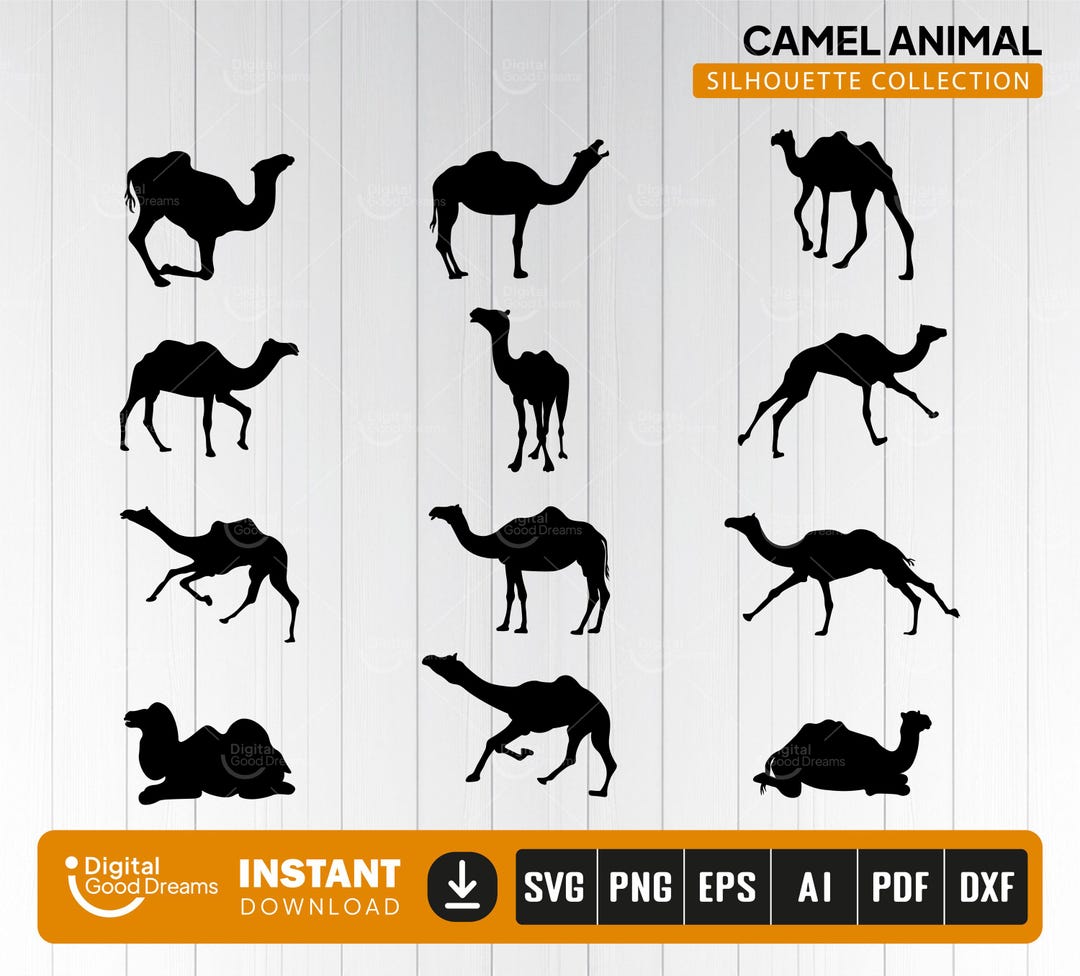 Camel Silhouette Svg, Clipart, Png, Dxf Silhouette, Eps Vector Cut File ...
