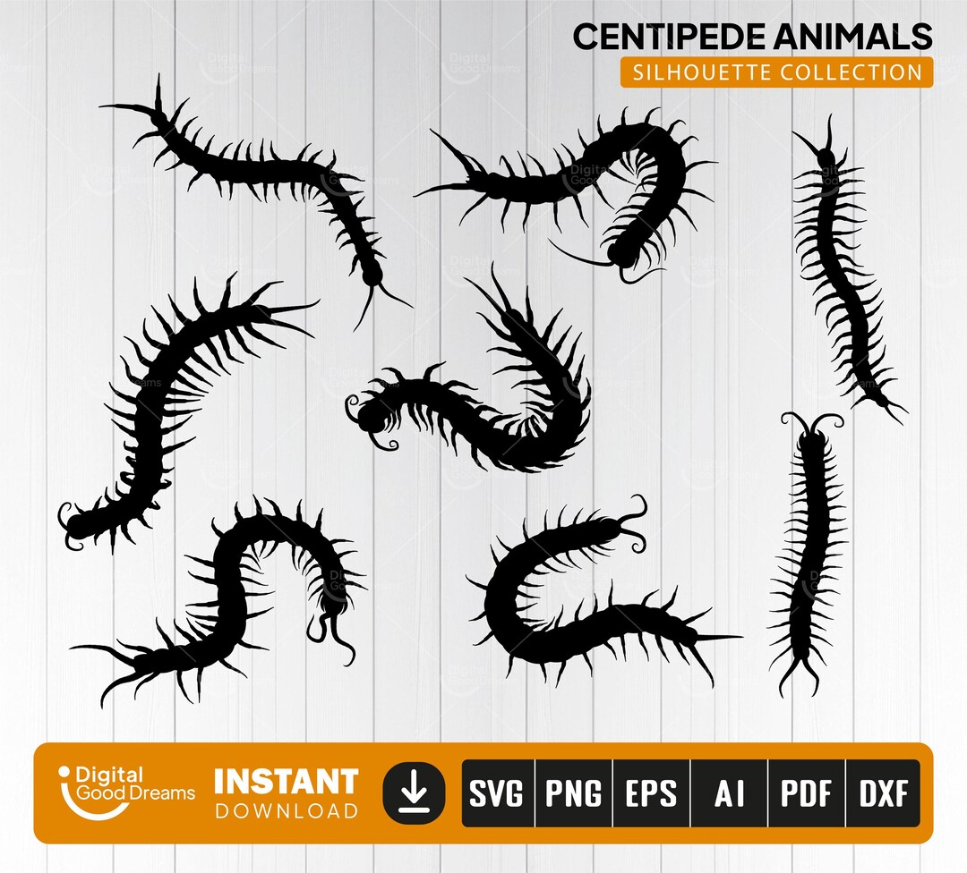 Centipede Silhouette Svg, Clipart, Png, Dxf Silhouette, Eps Vector Cut ...