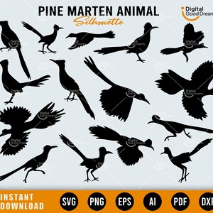 Greater Roadrunner Silhouette Svg, Clipart, Png, Dxf Silhouette, Eps Vector Cut File for Cricut ...