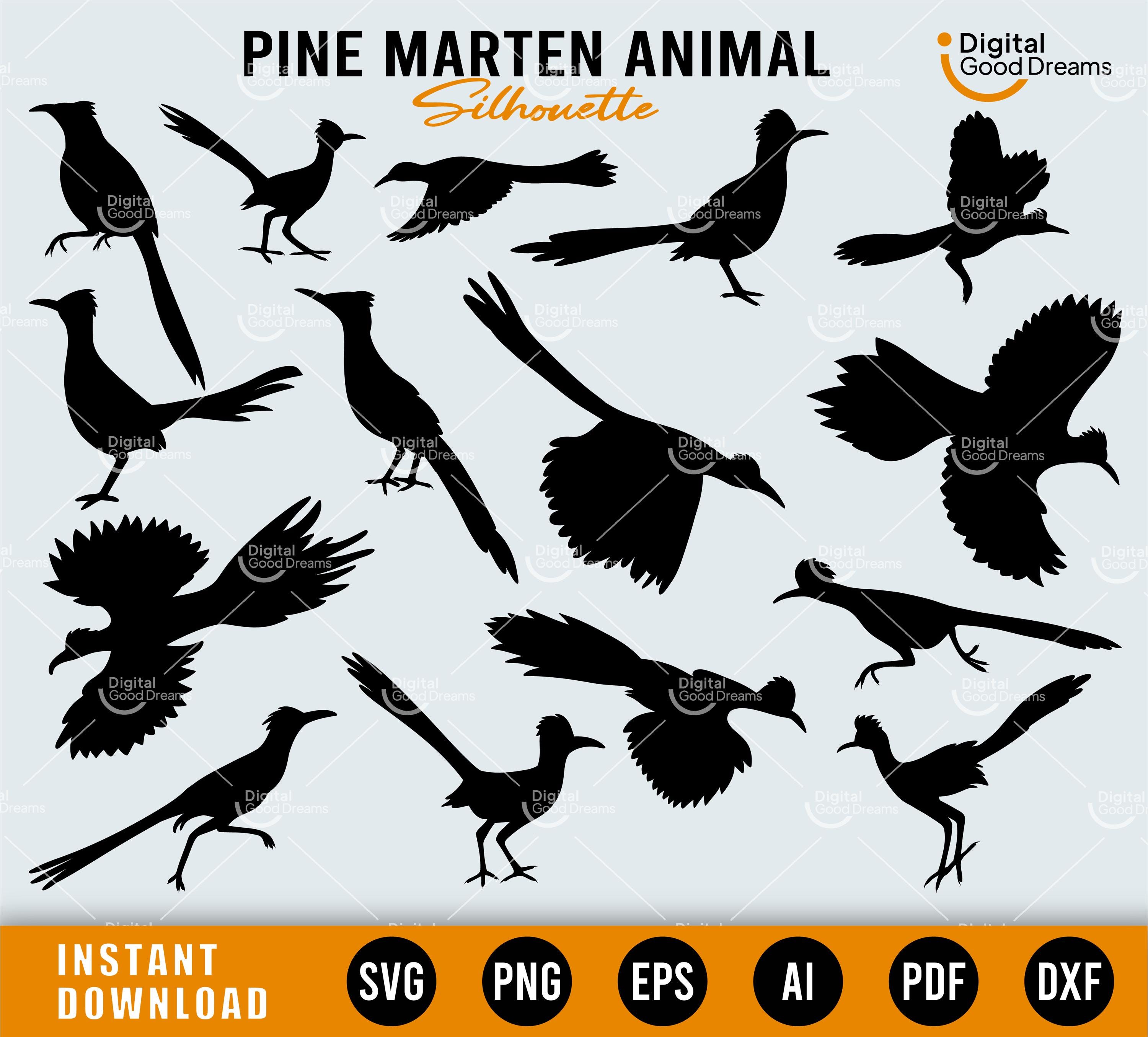 Greater Roadrunner Silhouette Svg, Clipart, Png, Dxf Silhouette, Eps ...