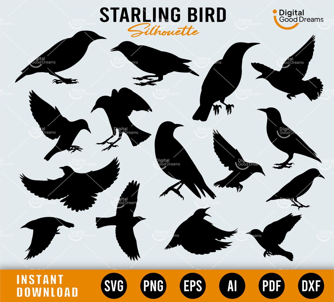 Starling Bird Silhouette Svg, Clipart, Png, Dxf Silhouette, Eps Vector ...