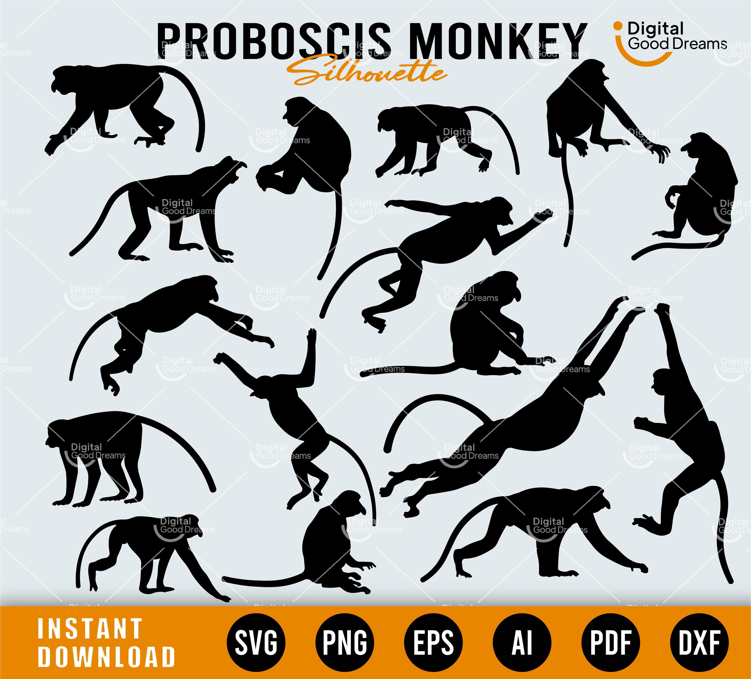 Proboscis Monkey Silhouette Svg, Clipart, Png, Dxf Silhouette, Eps ...