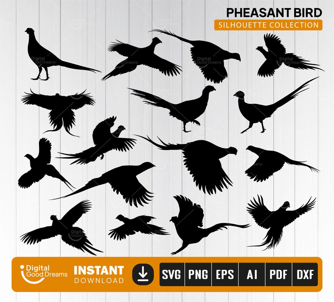 Pheasant Bird Silhouettes SVG Clipart, PNG, DXF, Eps Cut Files for ...
