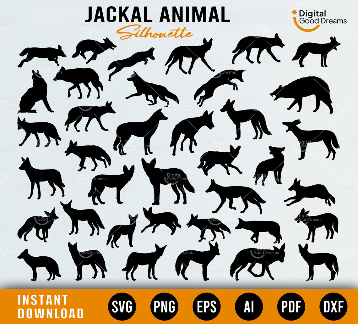 Collection of Jackal Animal Svg Vector Illustration, Clipart, Png, Dxf ...
