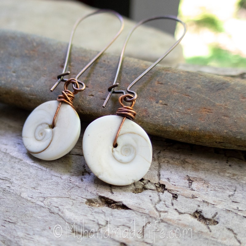 Operculum Shell - Etsy