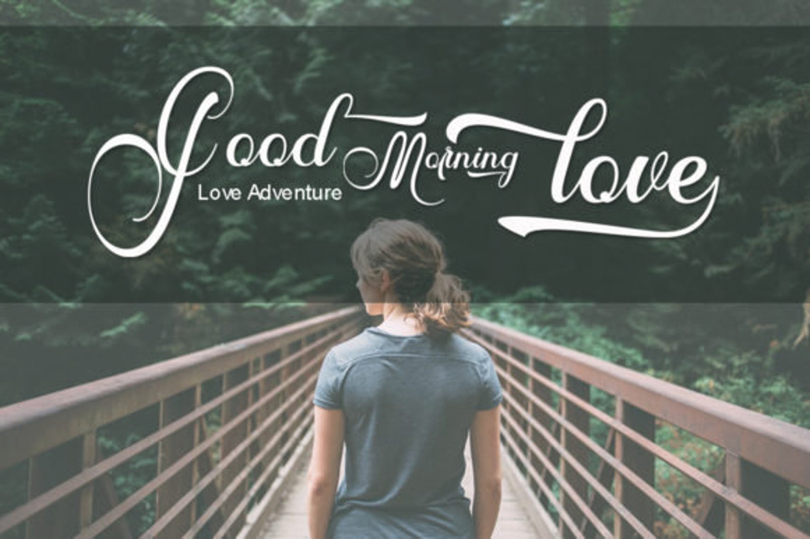 Graytine Script Font, Beautiful Font, Script Font, Vintage Font, Retro Calligraphy, Classic Font ...