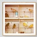 Paris Photography, French Photograph, Paris Print, Bird Art, Yellow Art ...