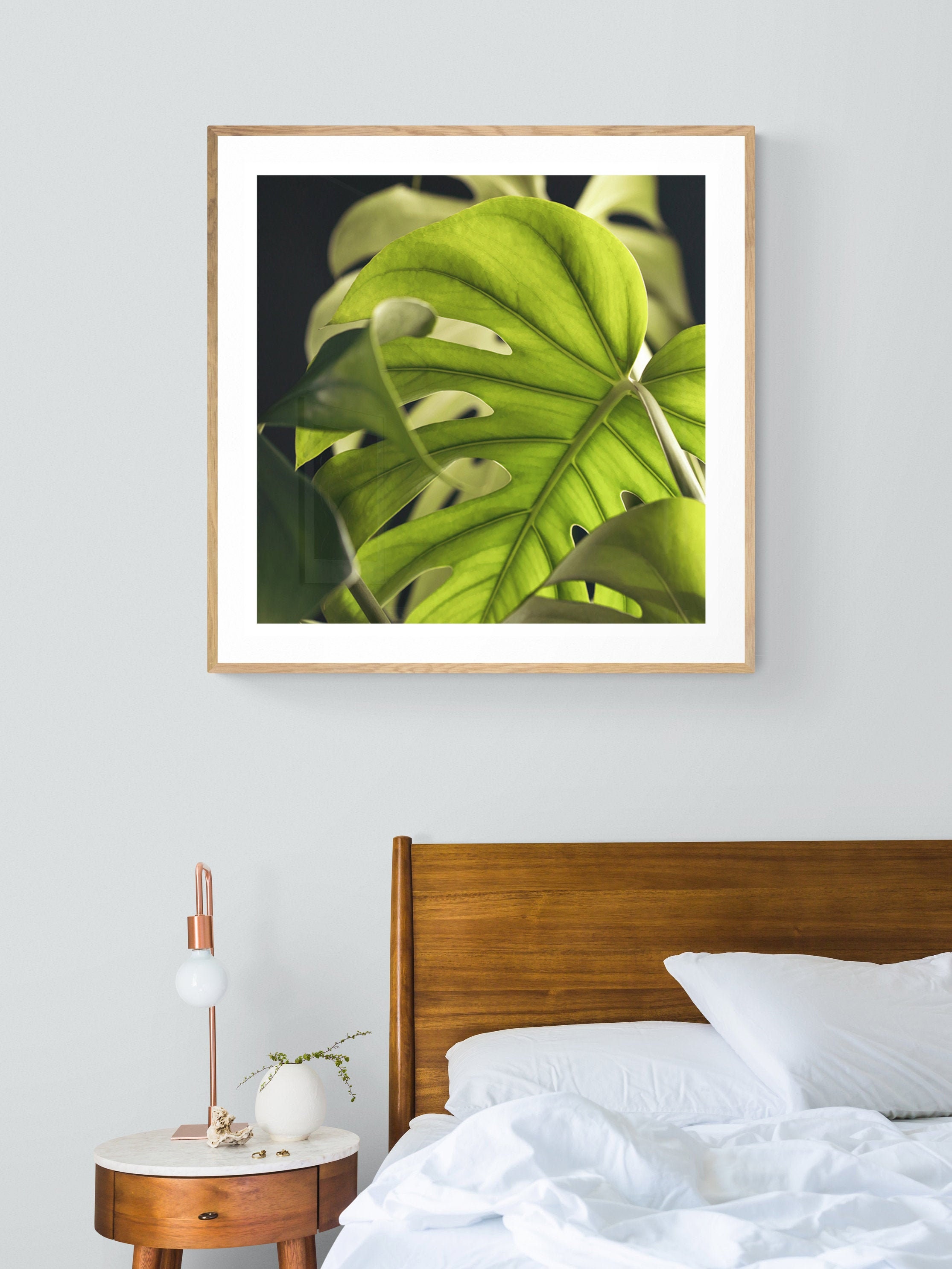 Monstera Print Green Leaf Print Botanical Photograph - Etsy