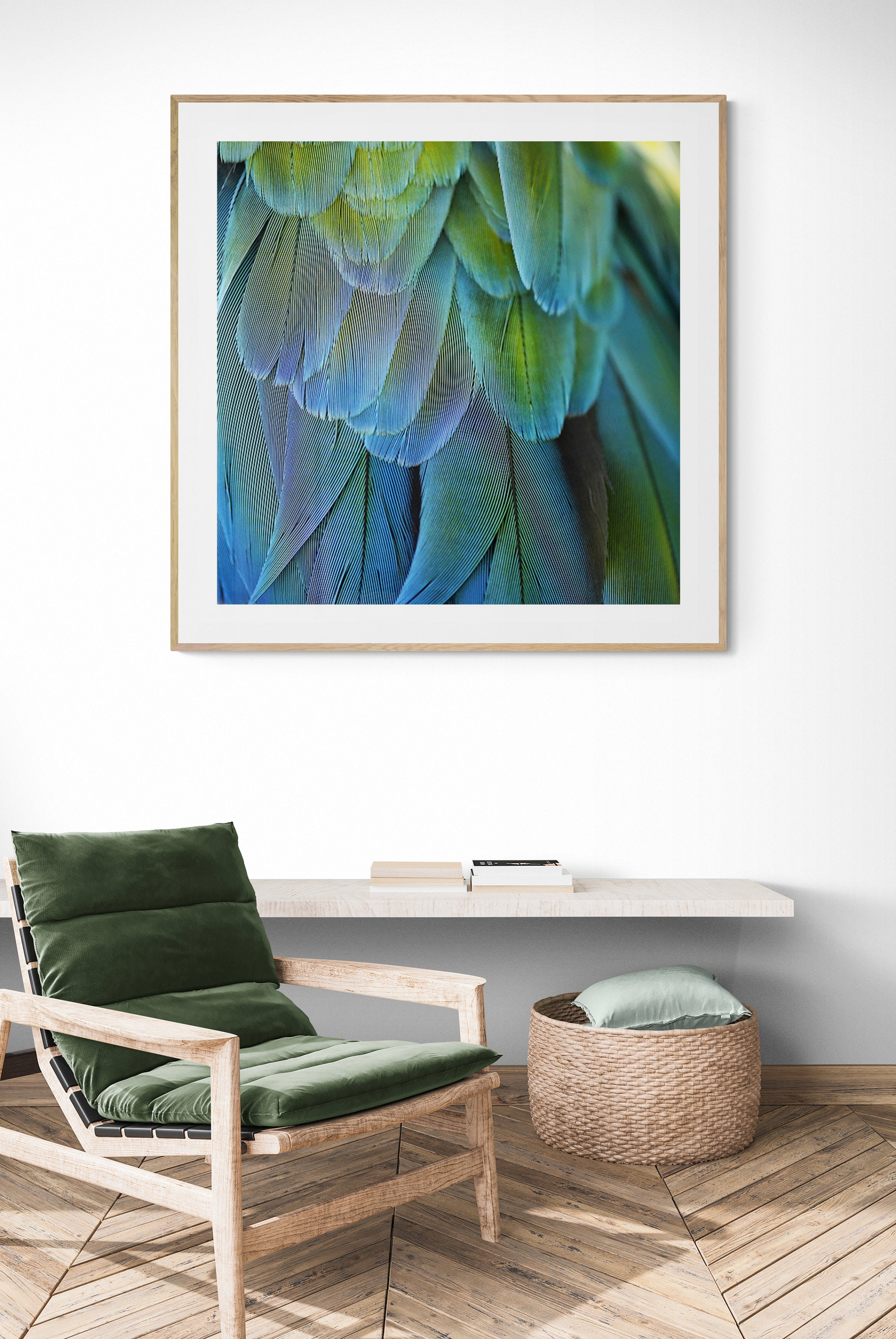 Bird Art Feather Art Parrot Print Macaw Photograph Animal - Etsy