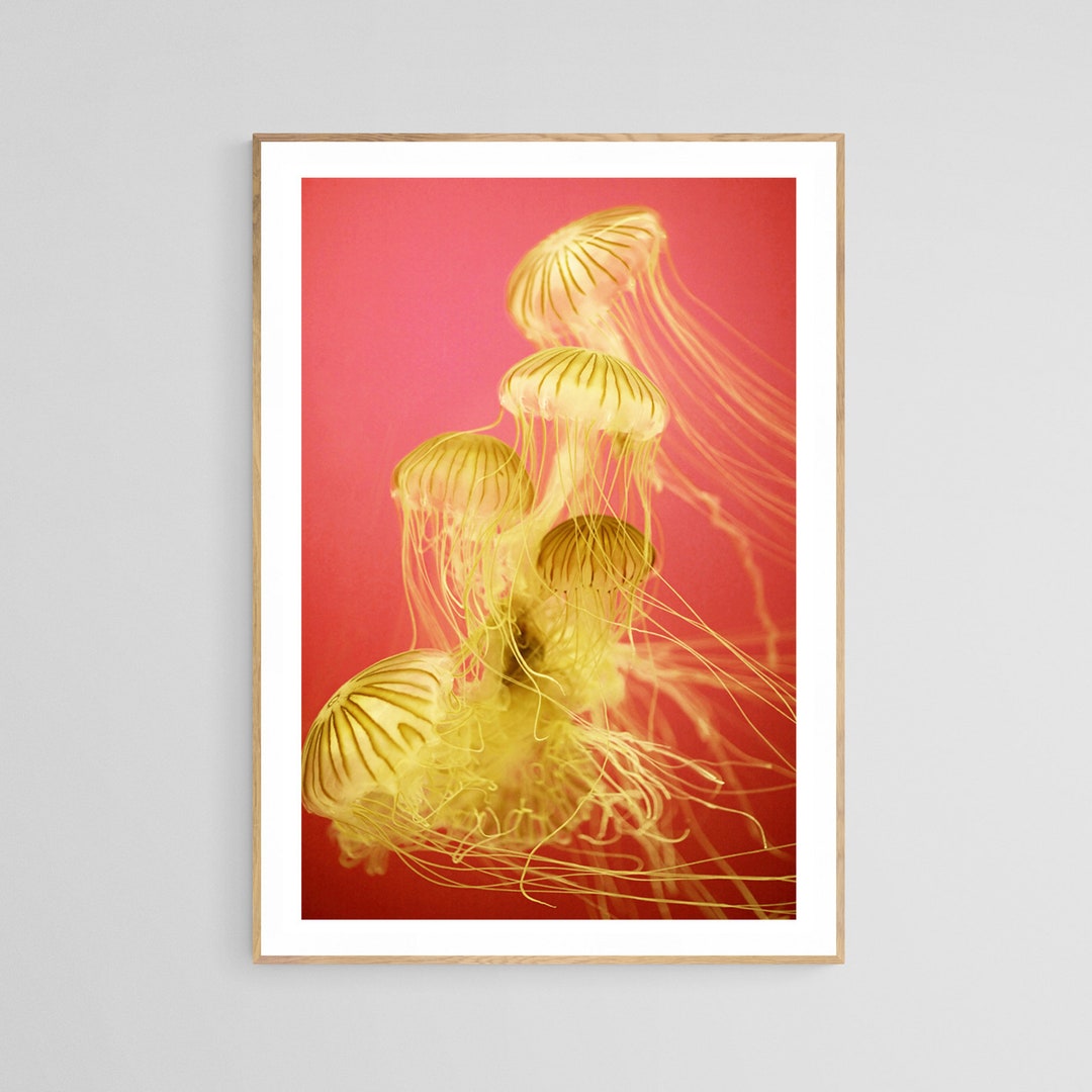 Jellyfish Art, Ocean Art, Sealife, Jellyfish Print, Nautical Decor ...